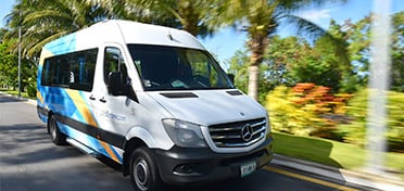 Amstar DMC | CheapCaribbean